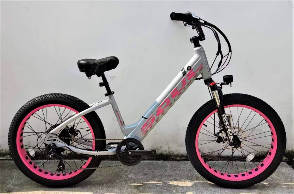 Electric Bikes With Long Range. The Ebike Built Strong.